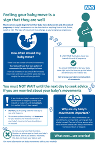 Pregnancy Leaflets & Posters - MAMA Academy