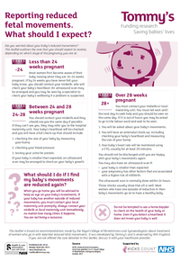Pregnancy Leaflets & Posters - MAMA Academy